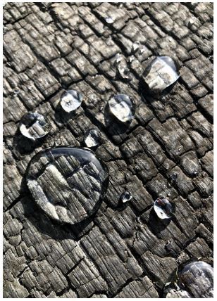 Aqua-Proof Wood | Product-Proof